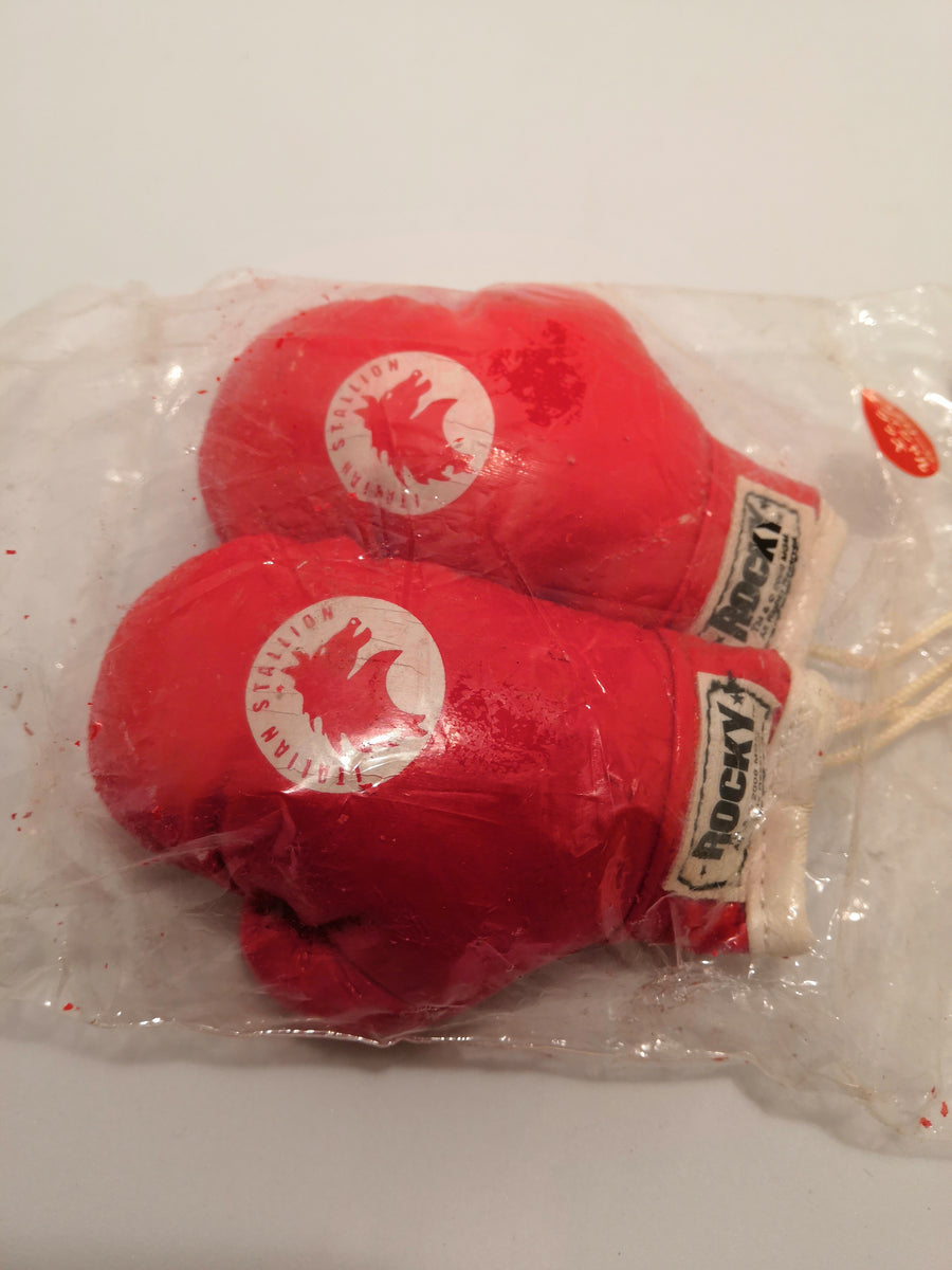 Rocky Glove Keychain – Senpai Mart