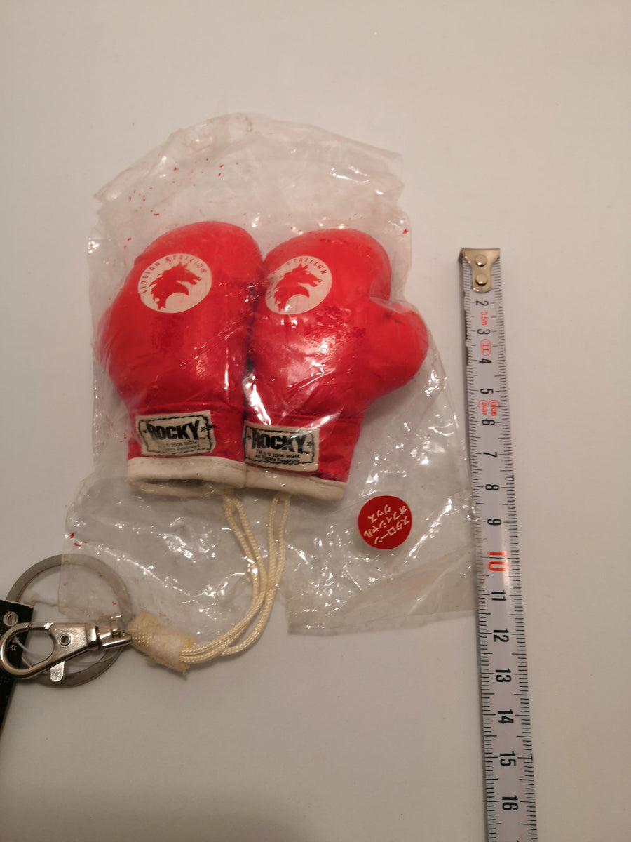 Rocky Glove Keychain – Senpai Mart